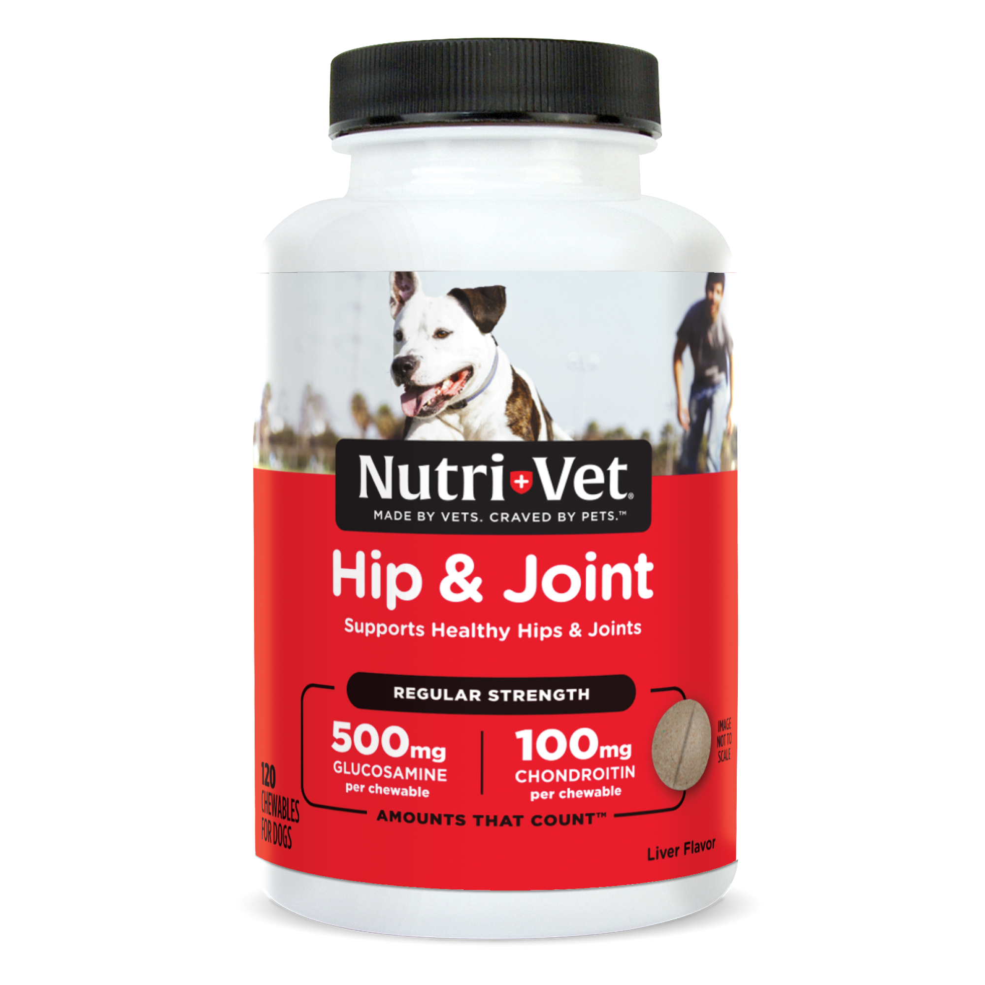 Hip & Joint Chewable Tablets | Nutri-Vet
