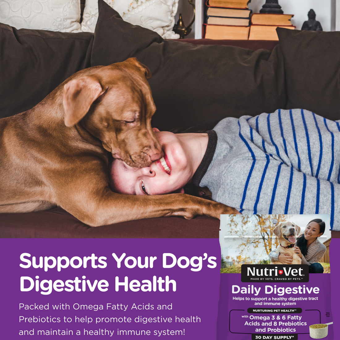 Nutri-Vet Daily Digestive Powder | Dog Digestion | Nutri-Vet