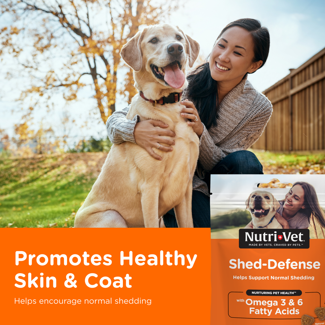 Shed-Defense Soft Chews | Dog Skin & Coat | Nutri-Vet