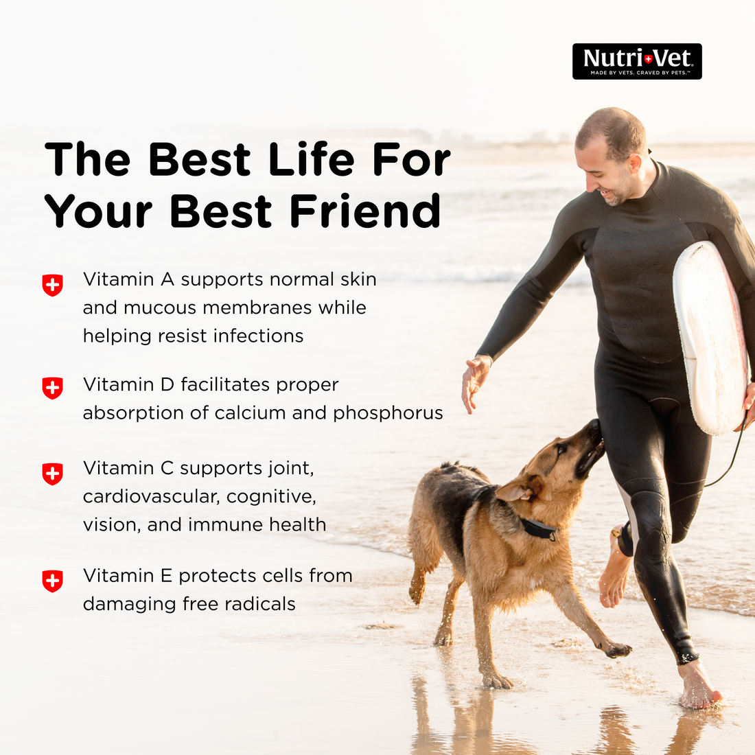 Senior-Vite Chewable Tablets | Dog Vitamins | Nutri-Vet