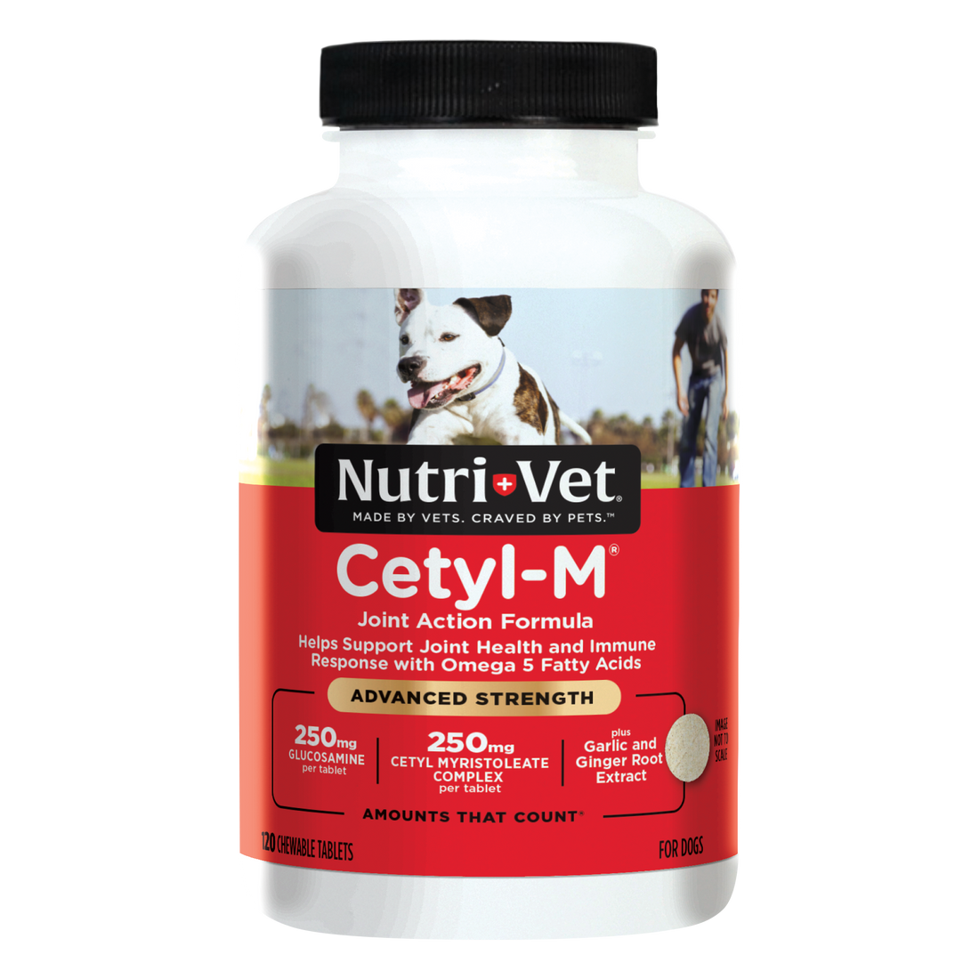 Cetyl-M Advanced Joint Action Chewable Tablets | Nutri-Vet