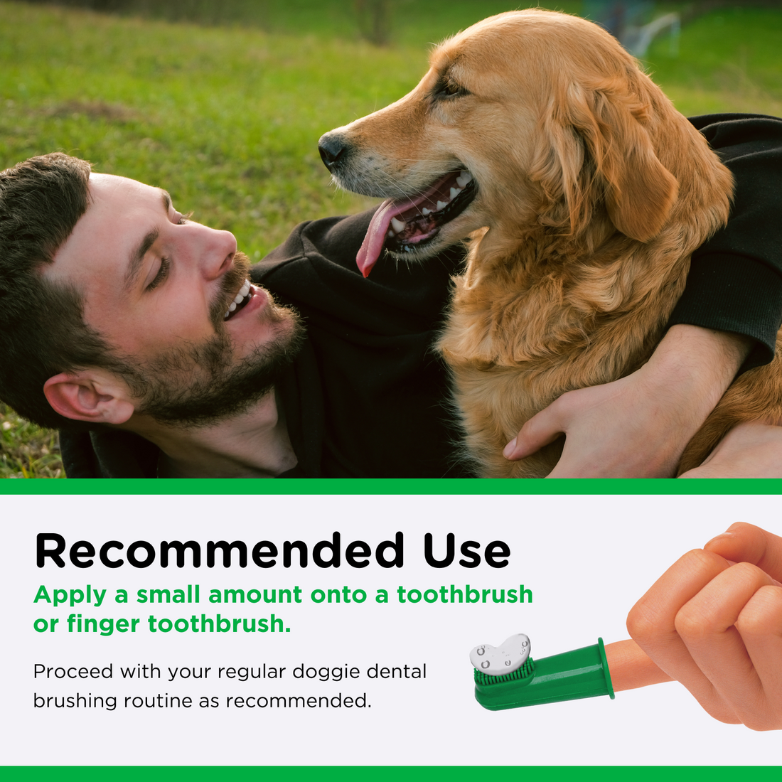 Dog Enzymatic Toothpaste | Nutri-Vet