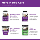 Anti-Diarrhea Liquid Supplement | Dog Digestive Health | Nutri-Vet